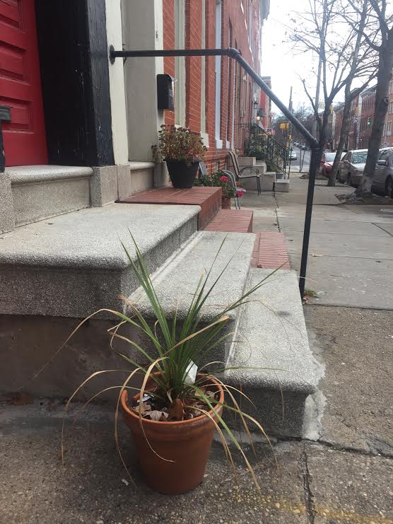 A Step Above: Stoop-sitting in Baltimore – Van Smith